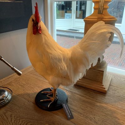 Woonaccessoires| Pagina 2 van 6 | De Pagter Interieurs | Middelburg ...